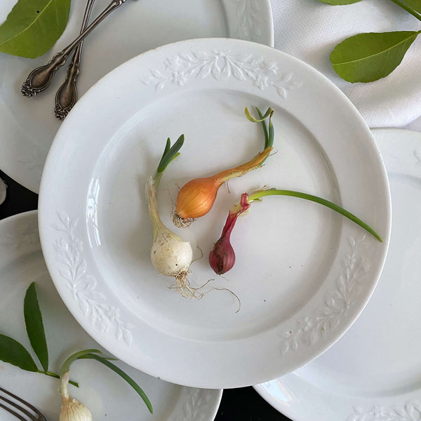 Antique Anthony Shaw English Ironstone Dinner Plates circa 1857-1882 ...