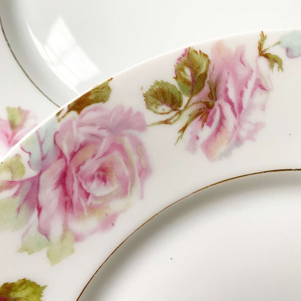 Antique Hermann Ohme Porcelain Dinner Plates with Pink Roses - Set of ...