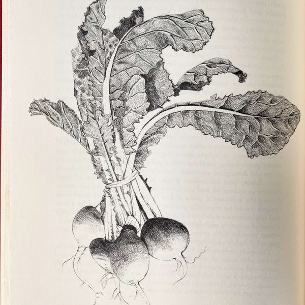 Chez Panisse Pasta, Pizza & Calzone Cookbook by Alice Waters - 1984 Fi ...