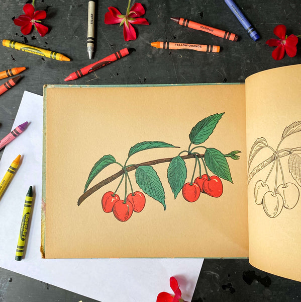 Rare Antique Coloring Book - Rainbow Painting and Crayoning Book - Ill ...