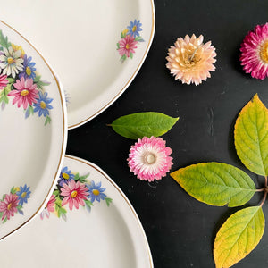 Vintage 1950s Brexton Hamper Floral Picnic Plates - Set of Four – In ...