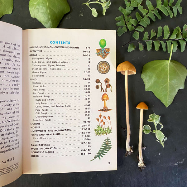 Non-Flowering Plants by Floyd S. Shuttleworth and Herbert S. Zim - Gol ...