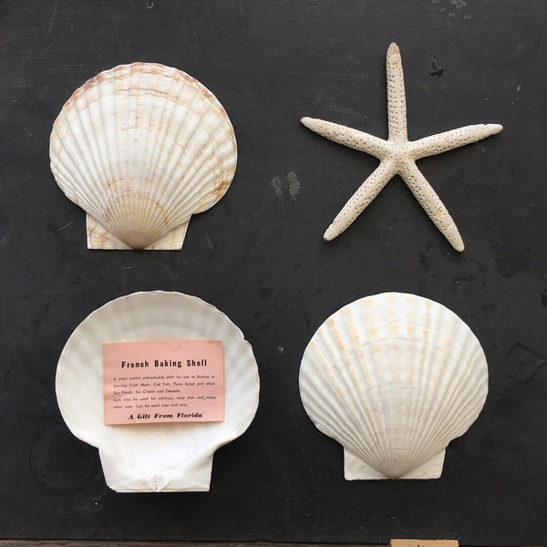 Vintage French Seashell Baking Shells - Set of 12 - Serving and Baking ...