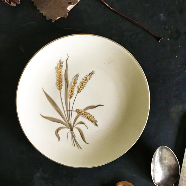 Vintage Mix and Match Autumn Themed Plates - The Autumn Fields Collect ...