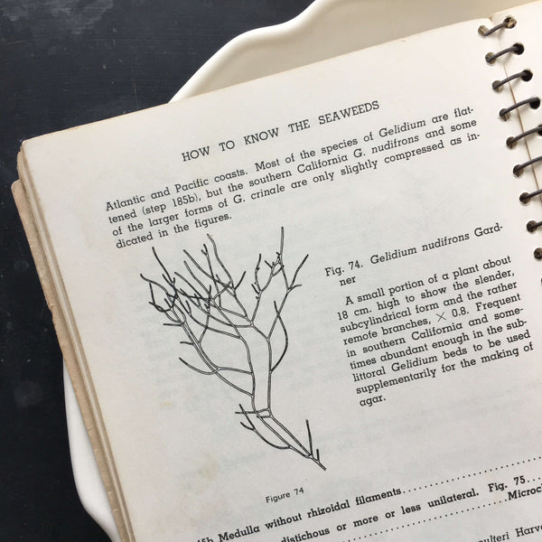 How to Know the Seaweeds - E. Yale Dawson - Seaweed Identification Gui ...