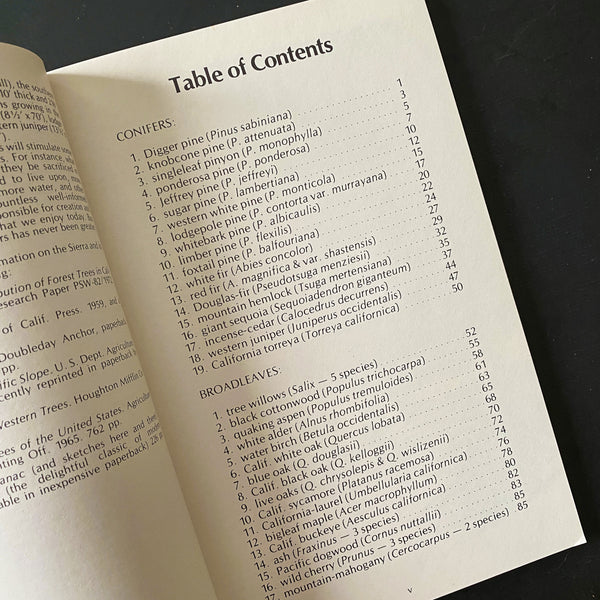 Vintage Pine Tree Identification Book - Discovering Sierra Trees by St ...