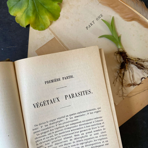 Rare Antique French Animal Science Book - Parasitologie des Animaux Do ...