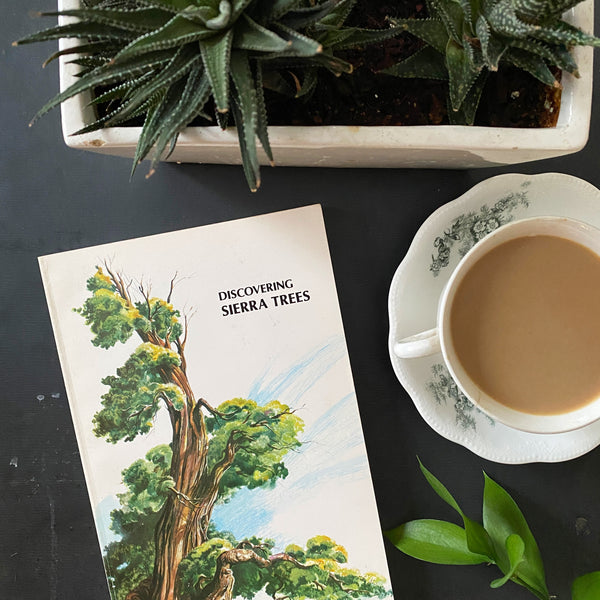 Vintage Pine Tree Identification Book - Discovering Sierra Trees by St ...