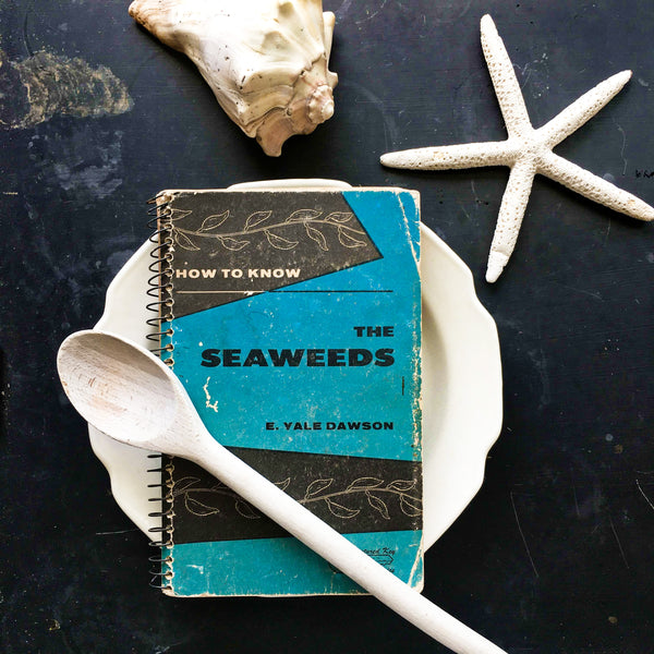 How to Know the Seaweeds - E. Yale Dawson - Seaweed Identification Gui ...