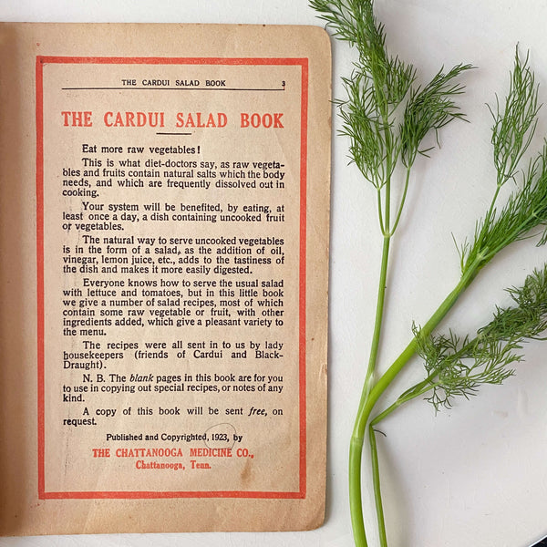Antique 1920s Southern Salad Recipe Booklet - Cardui Salad Book circa ...