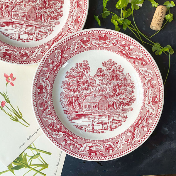 Vintage 1960s Memory Lane Dinner Plates - Set of Two by Royal China ci ...