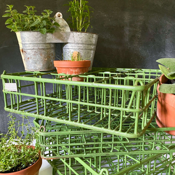 Vintage Sani-Stack Wire Dishwasher Crates - Assorted Stackable Sizes ...